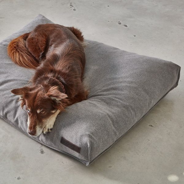 Coussin design pour chien - LUCE