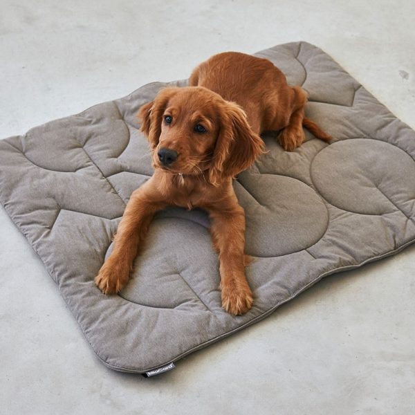 Couverture matelassée design pour chien - LINEA