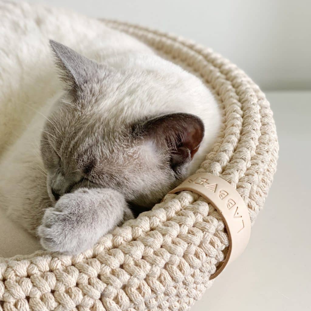 Panier design pour chat et petit chien