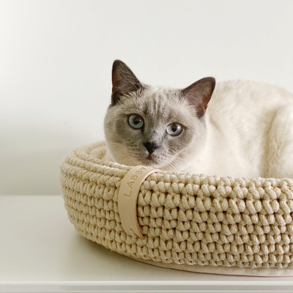 Panier design pour chat et petit chien
